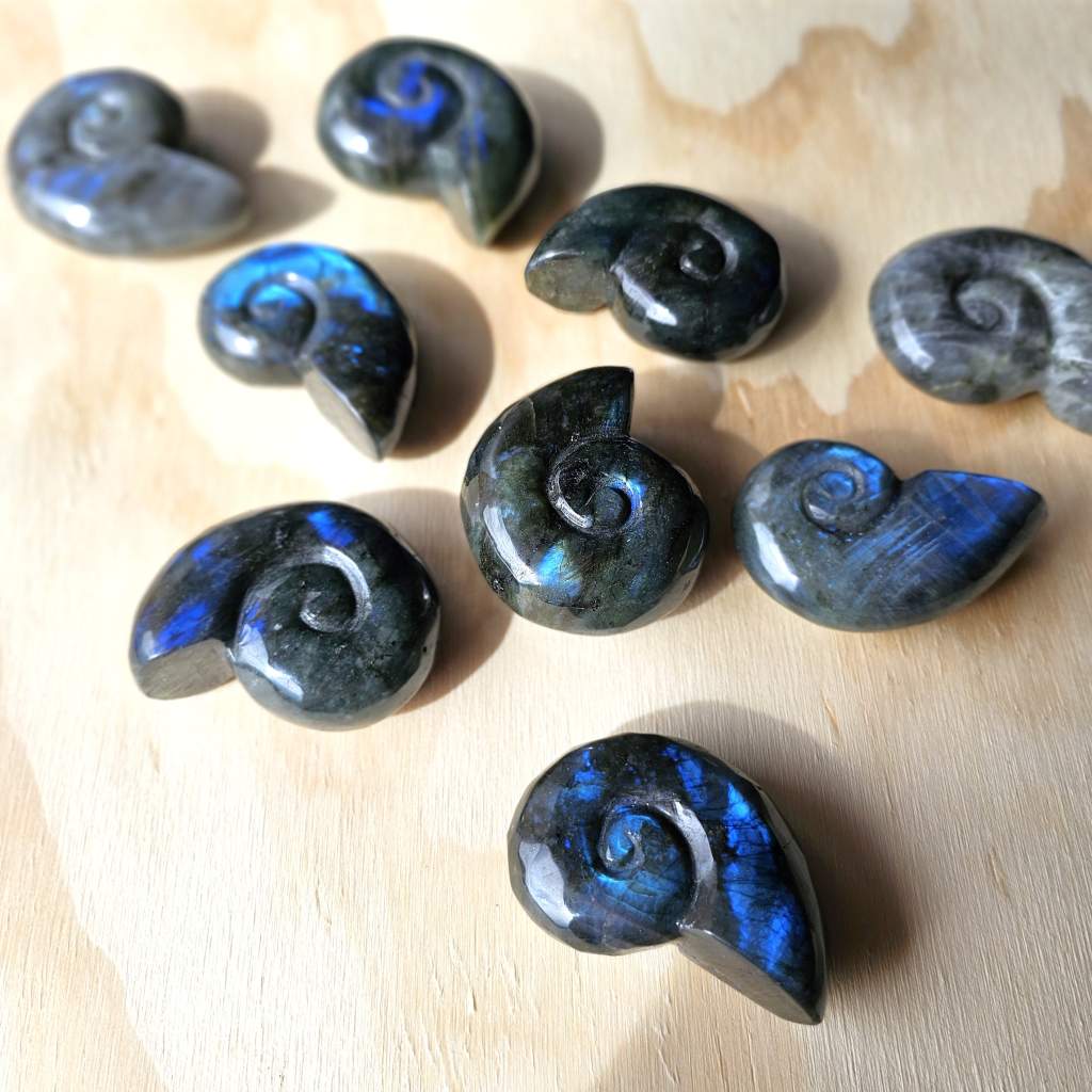 Labradorite Ammonite | Cosmic Nautilus – Divine Crystal Heart