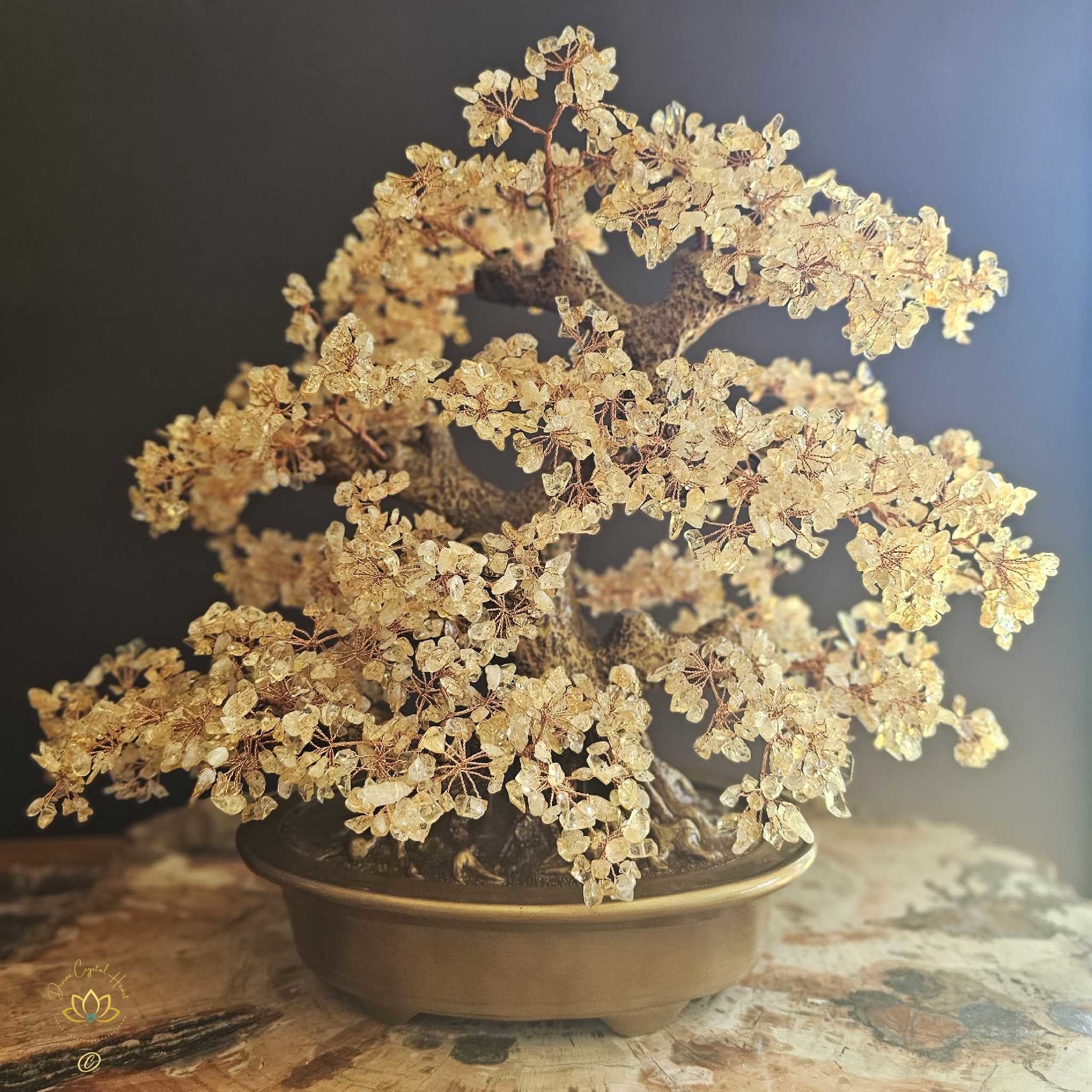 Citrine Crystal Bonsai | Abundance – Divine Crystal Heart