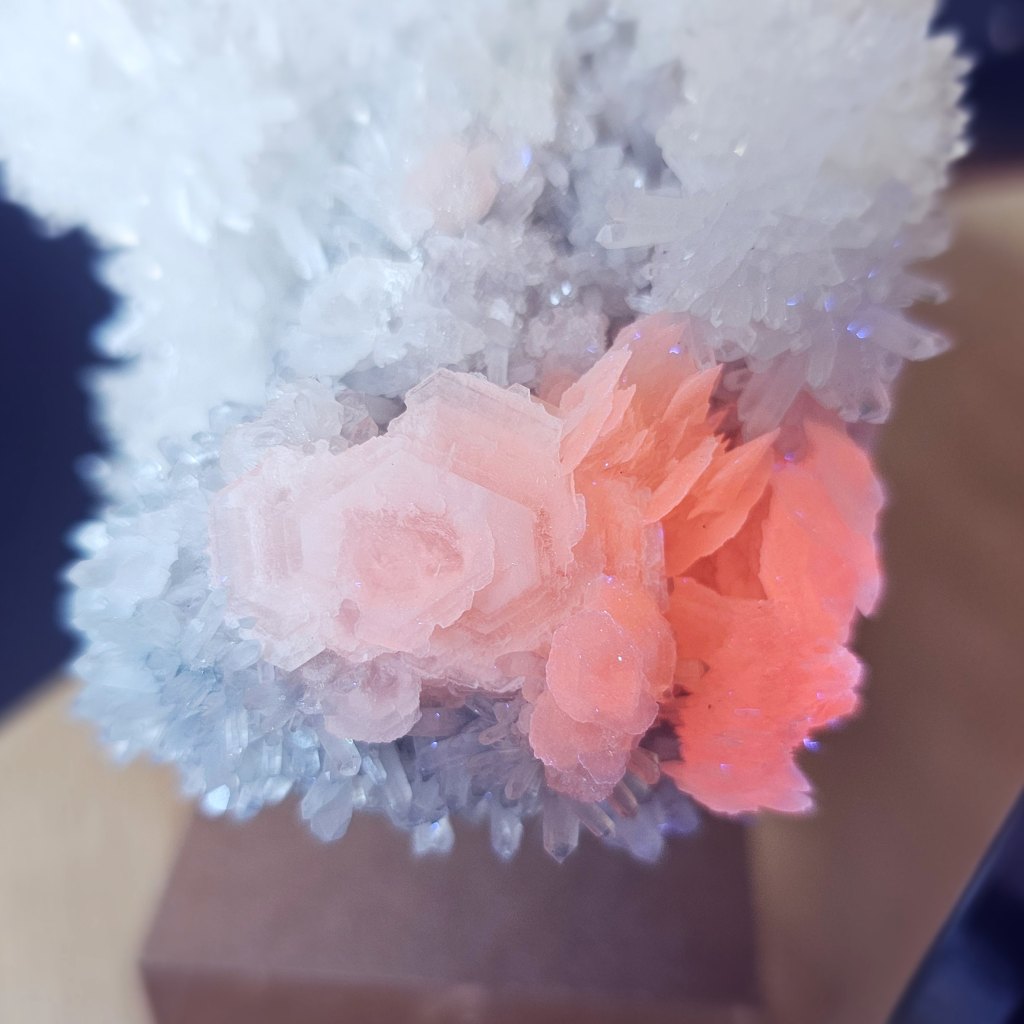 Coin Calcite and Quartz Specimen | Celestial Coinage – Divine Crystal Heart