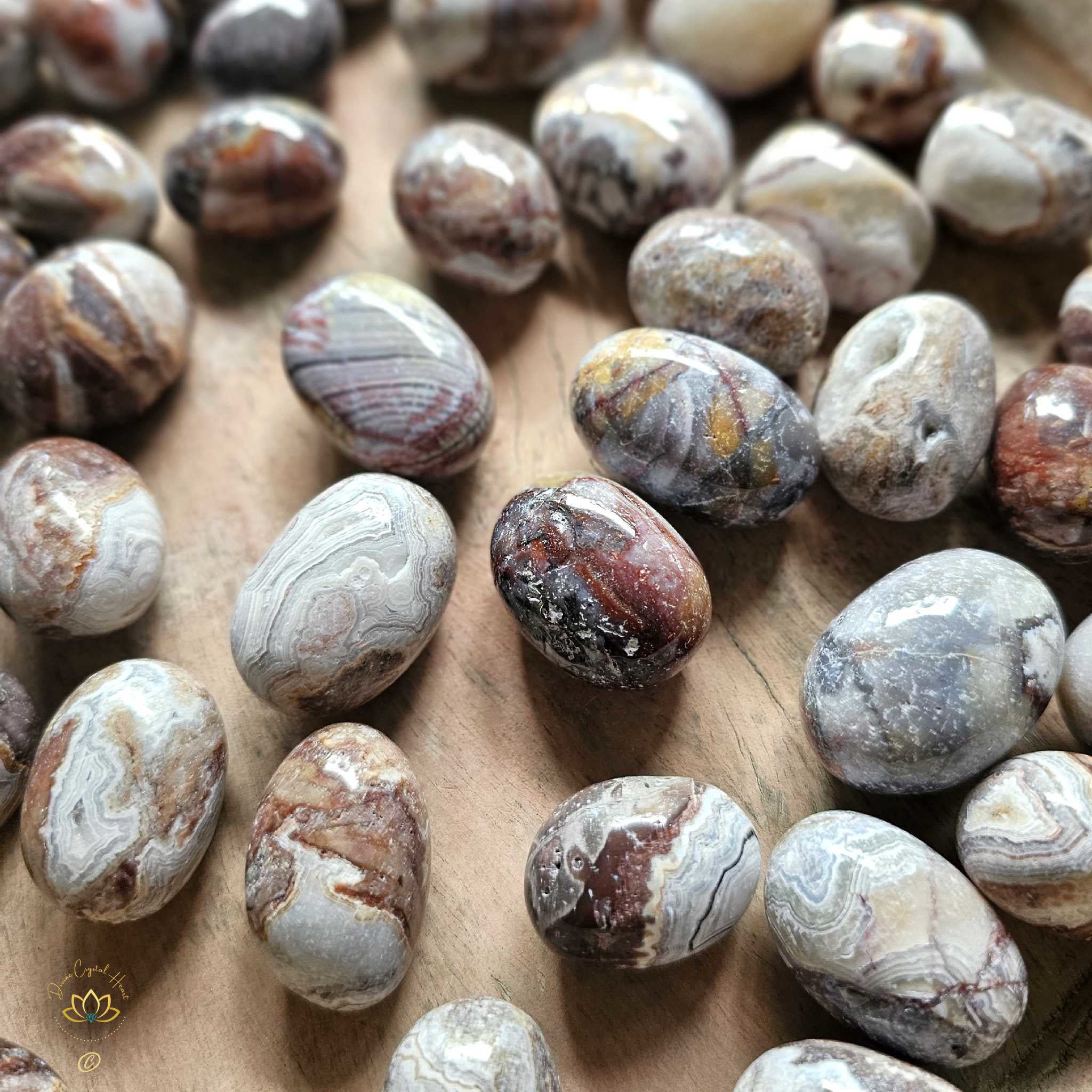 Mexican Crazy Lace Agate Tumbled Stones – Divine Crystal Heart
