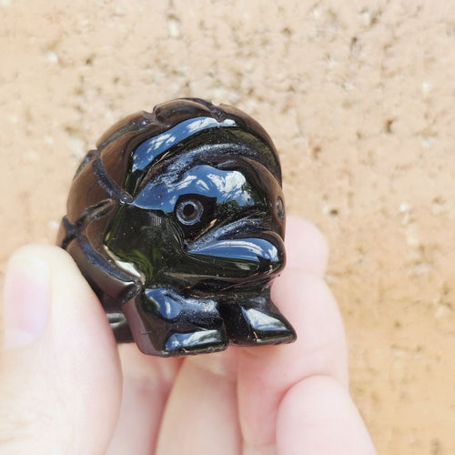 Obsidian Hedgehogs | Shadow Guardian – Divine Crystal Heart