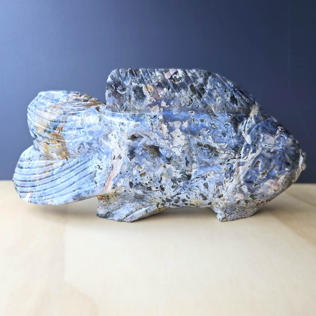 Ocean Jasper Fish | The Deepcurrent Guide – Divine Crystal Heart