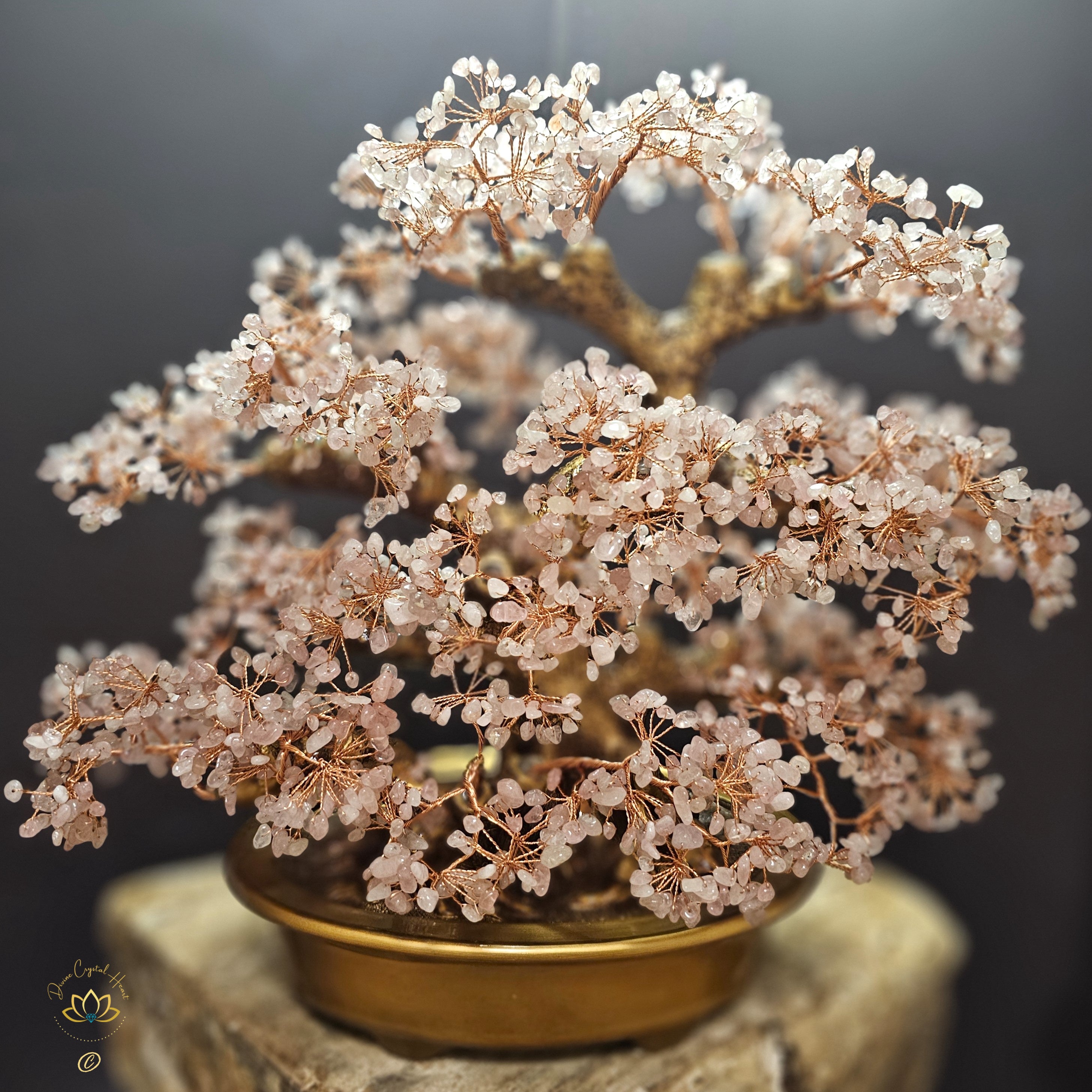 Rose Quartz Crystal Bonsai | Love – Divine Crystal Heart