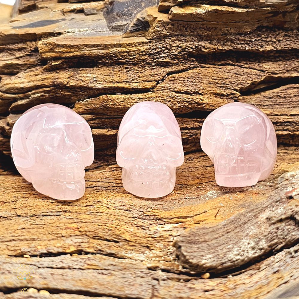 Rose Quartz | Mini Skulls – Divine Crystal Heart