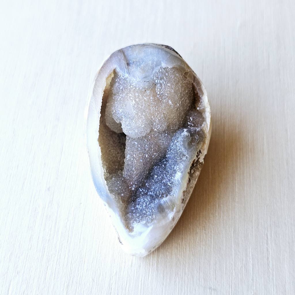 Spiralite Shell With Druzy Quartz | Crystalline Cocoon – Divine Crystal ...
